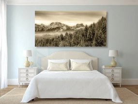 Obraz zamrzlé hory v sépiovém provedení - 120x60 cm