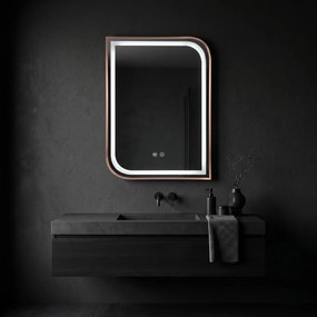 Rea Zrcadlo 70x50 cm s vyhříváním a regulovatelným LED osvětlením HOM-00304 růžová zlatá kartáčovaná