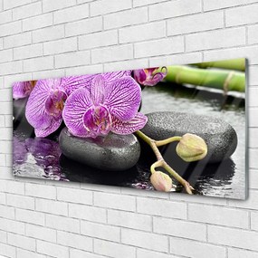 Plexisklo-obraz Kameny Zen Orchidej Lázně 125x50 cm