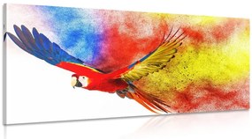 Obraz let papouška Varianta: 100x50