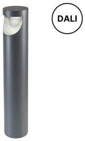 REDO 90501-DALI XWALK venkovní stojanové svítidlo/sloupek SMD LED V800mm 12W 1558/1335lm 3000K IP65 tmavě šedá Sloupkové osvětlení