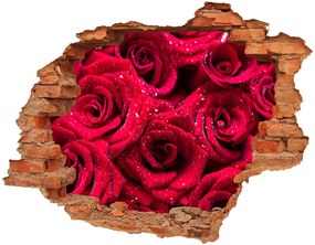 Wallmuralia Samolepící nálepka na zeď Kapky na růžích 90x70 cm