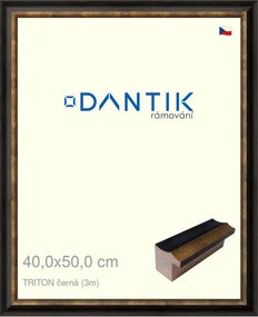 DANTIK rámeček 40x50 | TRITON černá (Sklo Čiré)