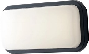 FAN LED-SHELLY-Q-L ANT Venkovní stropní svítidlo LED SHELLY antracit polykarbonát 20 W 2500 lm 3000/4000 K IP65 29,6x14,6x7,6 cm - FANEUROPE