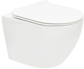 Ceramia S-Line Pro wc s prkénkem softclose závěsné zadní odpad WC01R