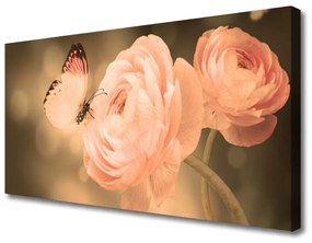 Obraz na plátně Motýl Růže Příroda 140x70 cm