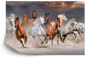 Fototapeta Stádo Cválajících Koní Samolepící tapety 450x300