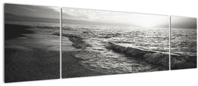 Obraz - Na břehu moře (170x50 cm)