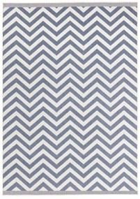 NORTHRUGS - Hanse Home koberce Kusový koberec Twin Supreme 103435 Palma blue creme – na ven i na doma - 120x170 cm