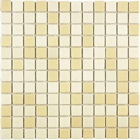 EBS Combi COMBI-5 mozaika 31,6x31,6 1 m2