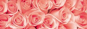 Fototapeta na zeď Dimex Roses M-493 | 330x110cm