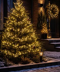 Vánoční LED osvětlení 100 LED teplé bílé