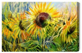 Obraz Slunečnice Jako Nakreslené Nedostatek Nedostatek Plátno Canvas 120x80