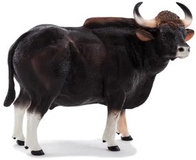 Mojo Gaur býk