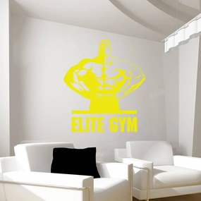 Živá Zeď Samolepka na zeď Elite Gym Barva: černá