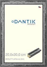 DANTIK rámeček 20x30 | BEAUTY stříbrná (Sklo Čiré)