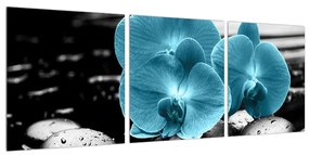 Obraz modrých květů orchideje (90x30 cm)