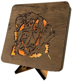 Li-Go "Bernardýn, Salašnický pes" lampa 19x19cm provedení povrchu: černá s patinou