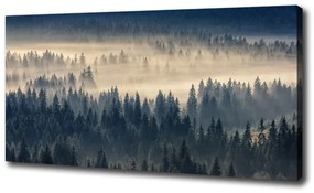 Wallmuralia Foto obraz na plátně Mlha nad lesem 100x50