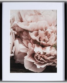 Obraz Peony Sunset I 40x50cm