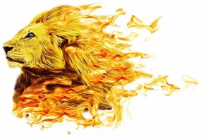 Samolepící tapeta ohnivý lev - 300x200 cm