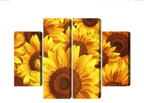 Vícedílný obraz 3D Květy Slunečnice Nedostatek Nedostatek Plátno Canvas 120x90