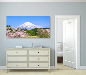 Obraz hora Fuji Varianta: 100x50