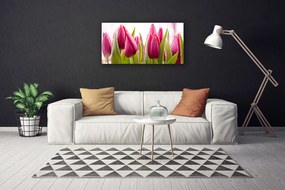 Obraz na plátně Tulipány Květiny Rostlina 120x60 cm