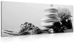 Obraz Zen kameny s mušlemi v čiernobílém provedení - 100x50 cm