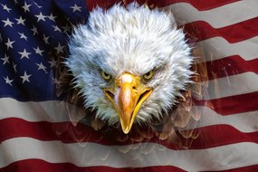 DIMEX | Samolepicí vliesová fototapeta na zeď Americká vlajka a orel MA-5-1495 | 375 x 250 cm | modrá, červená, bílá