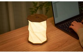 Hnědá světelná dekorace na USB ø 12 cm Twist Hexagon – Gingko