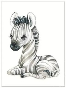 Obraz s motivem malovaná zvířecí mláďata Motiv: TX2032 zebra, Rozměry (cm): 20x25 cm
