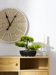 Sinsay - Dekorační rostlina bonsai v květináči - zelená