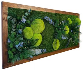 WOODILO Obraz ze stabilizovaného mechu a rostlin 208 Rozměr obrazu: 110x45 cm, Barva rámu: Odstín ořech (namořené borovicové dřevo), Síla rámu (pohledová): 4,5 cm