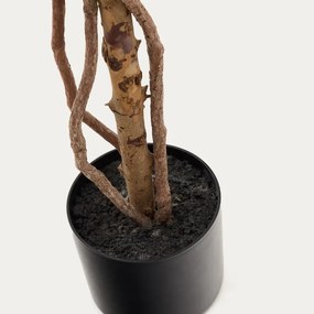 Umělá květina Kave Home Ficus 180 cm