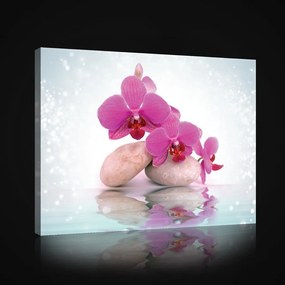 Postershop Obraz na plátně: Orchidej s kameny (2) - 75x100 cm