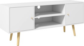 HOMCOM TV Stánek do Obývacího Pokoje s 2 Dveřmi a 2 Úložnými Policemi pro Televize do 55 Palců, 120x34x50 cm, Bílý
