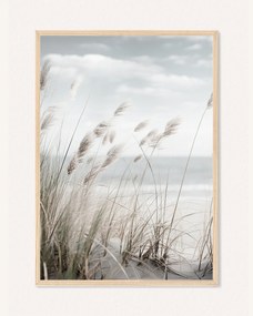 Oboustranný plakát Plážové Pampasy / Suché Květiny | 30 x 42 cm | DP351331