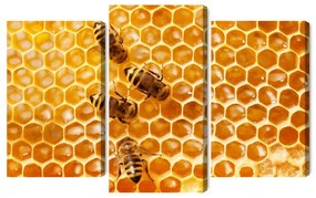 Vícedílný obraz Včely Na Plástev Nedostatek Nedostatek Plátno Canvas 60x40