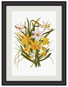 Obrázek kytice narcisů A4 (210 x 297 mm): A4
