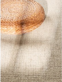 Béžový vlněný běhoun 80x250 cm Eloise – Hanse Home