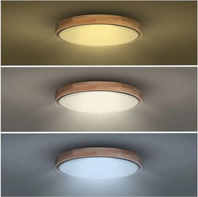 LED stropní světlo s dálkovým ovládáním Iron Oak nastavitelné - průměr 40 cm, hnědá