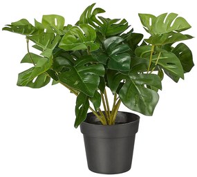 Butlers FLORISTA Monstera v květináči 25 cm