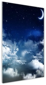 Wallmuralia Vertikální Fotoobraz na skle Hvězdné nebe 50x100