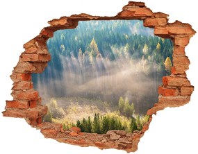 Wallmuralia Fototapeta díra na zeď Mlha v lese 90x70 cm