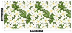 Fototapeta Plumeria Květiny 104x70