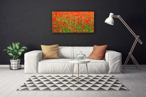 Obraz na plátně Máky Rostlina Příroda 125x50 cm