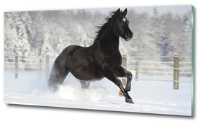Wallmuralia Foto obraz sklo tvrzené Kůň ve cvalu sníh 100x50