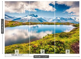 Fototapeta Mont Blanc 104x70