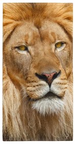 Osuška Lví pohled 70x140